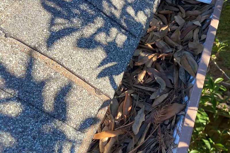Upgrade Drainage Today with Certified Gutter Services in Rayne, LA